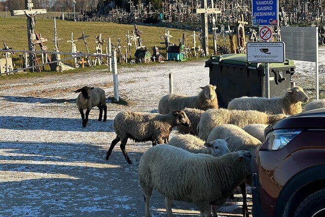 Hill of Crosses and Jelgava Gems Tour - 2 countries in 1 day - Final Thoughts: Is This Tour Worth It?