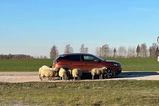 Hill of Crosses and Jelgava Gems Tour - 2 countries in 1 day - FAQ