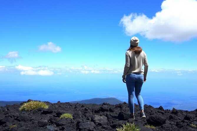 Hilo and Volcano National Park Tour for Cruise Passengers at port - The Sum Up