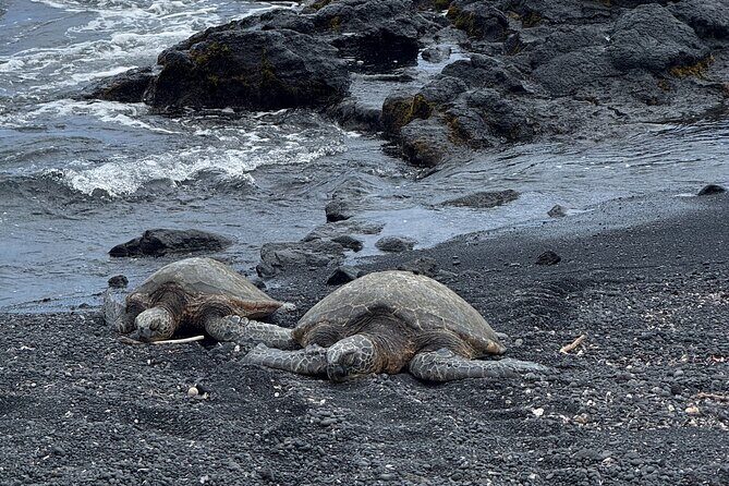 Hilo Excursion Volcanoes Akaka Falls And Black Sand Beach - How the Experience Comes Together