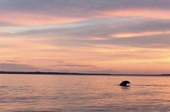 Hilton Head Sunset Dolphin and Sightseeing Tour via Mini Boat - Final Thoughts