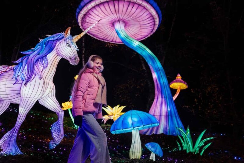 Hilvarenbeek: Light Safari at Beekse Bergen - Key Points