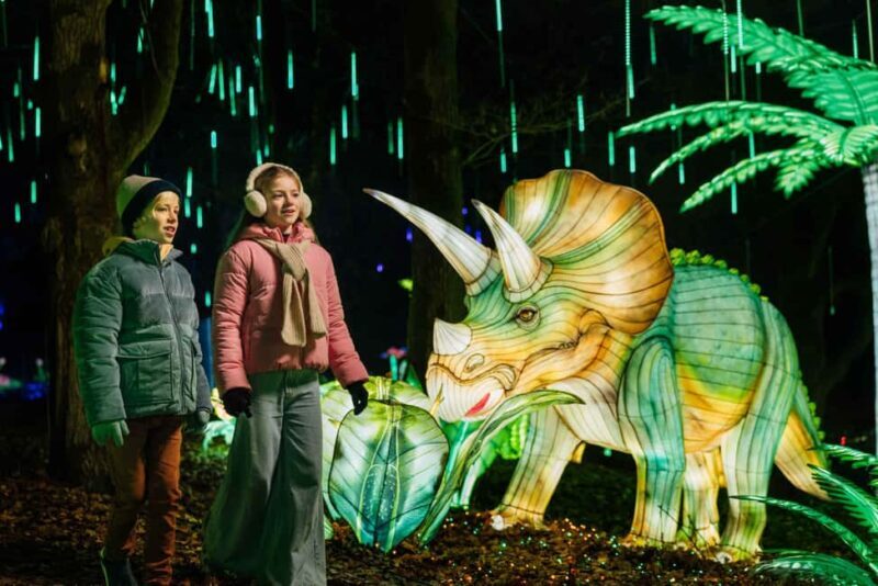 Hilvarenbeek: Light Safari at Beekse Bergen - An In-Depth Look at the Light Safari Experience