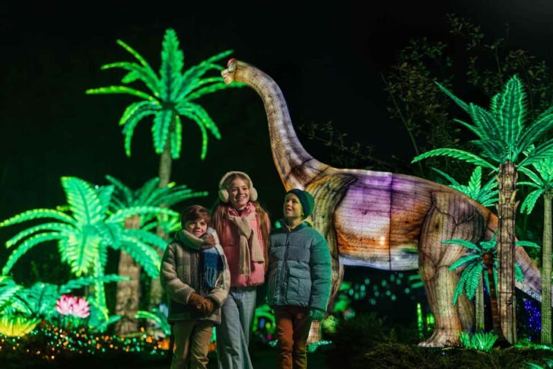 Hilvarenbeek: Light Safari at Beekse Bergen - Final Thoughts: Is It Worth It?