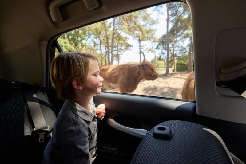 Hilvarenbeek: Safaripark Beekse Bergen Entry Ticket - An In-Depth Look at the Experience