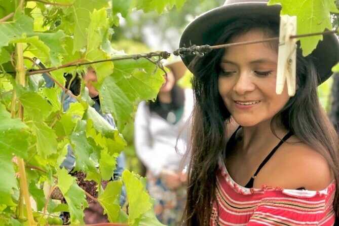 Hinterland Heritage Wine Tour - Is This Tour Right for You?