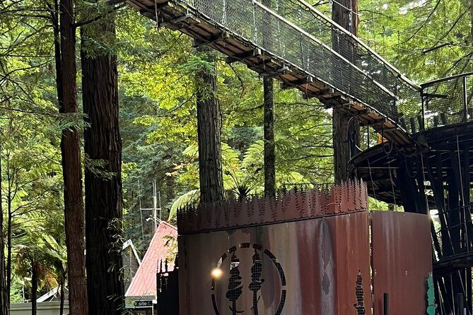 Hire A Driver For 4 Days From Auckland - The Sum Up