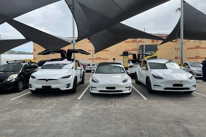 Hire Car and Limousine Service - Overview of the Service