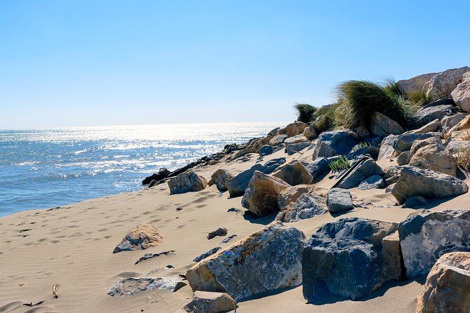 Historic Arles & the beaches and Pink Flamingoes of the Camargue - Whats Included and Whats Not