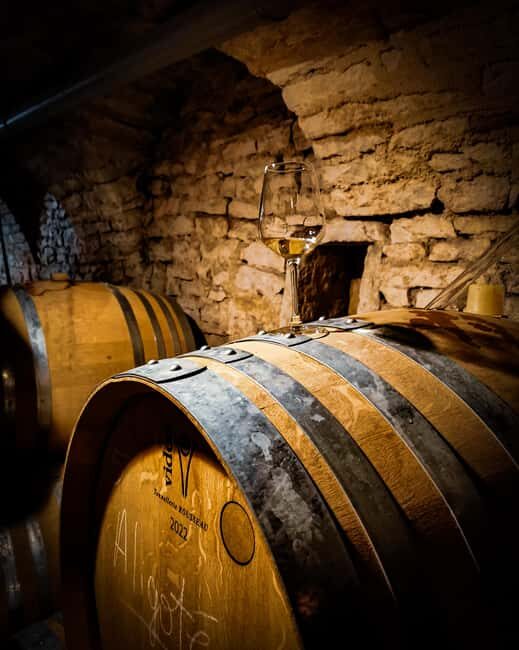 Historic Center of Dijon : Discovery Tasting Wine Burgundy - An Authentic Journey into Burgundy’s Wine World