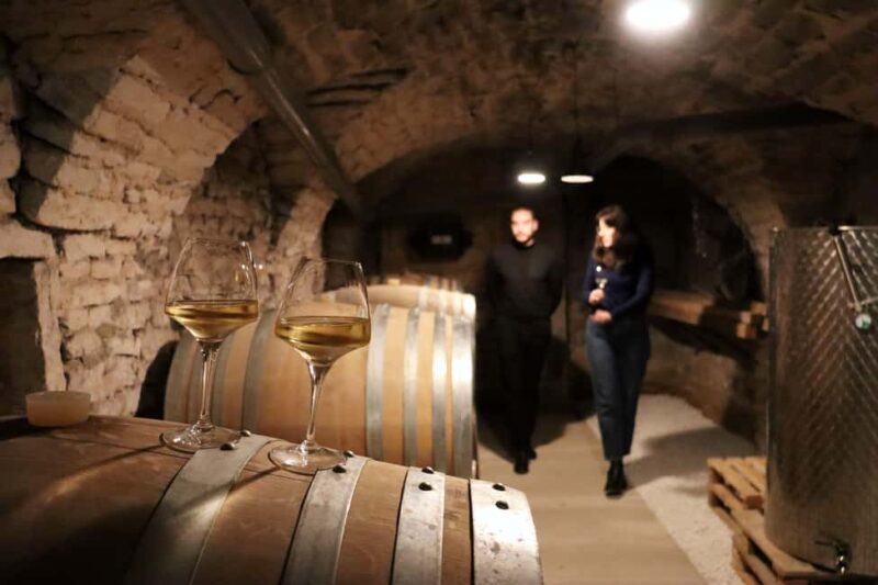 Historic Center of Dijon : Discovery Tasting Wine Burgundy - The Practicalities: What to Expect