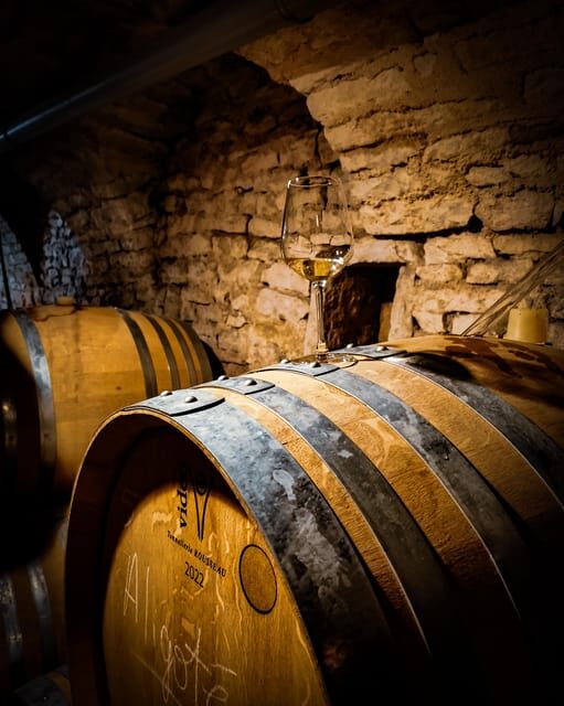 Historic Center of Dijon : Discovery Tasting Wine Burgundy - The Sum Up