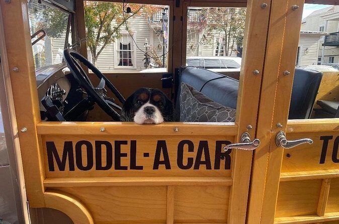 Historic Fredericksburg Tours in a Fully Restored Model A Car - Who Should Consider This Tour?