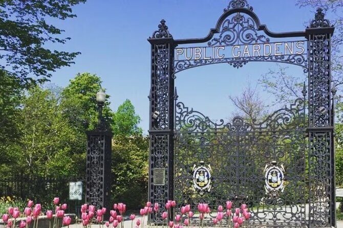 Historic Halifax and Titanic Tours - Exploring Halifax: A Deep Dive into History and Titanic Tales