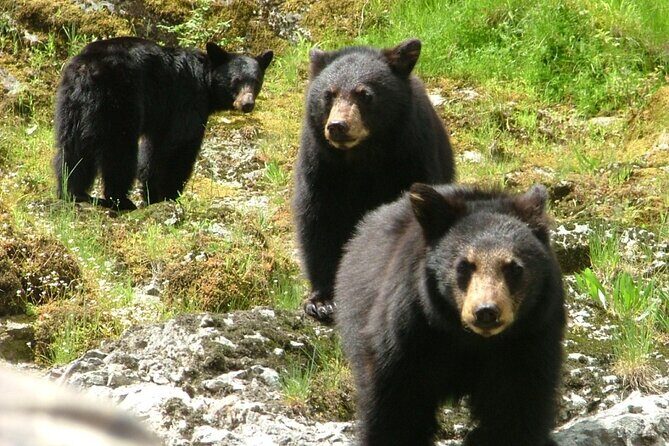 Historic Mail Route Tour - Key Points