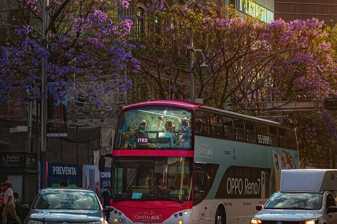 Historic Neighborhoods & Monuments: Hop-On, Hop-Off Mexico City - A Deep Dive into the Mexico City Hop-On, Hop-Off Tour