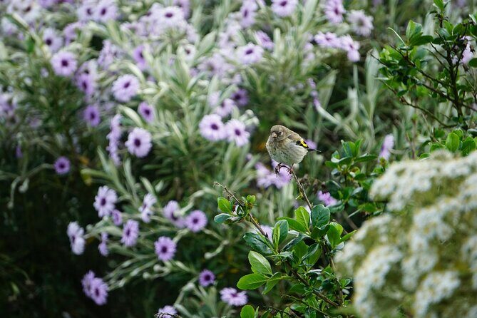 Historic Orkney Private Odyssey Tour by a native Islander - A Closer Look at the Itinerary and What to Expect