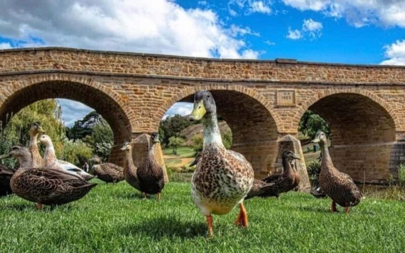 Historic Richmond Village Half-Day Coach Tour - FAQs