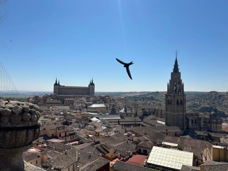 Historic Toledo: Cathedral and Museums in groups of maximum 10 people. - What’s Included and What to Expect