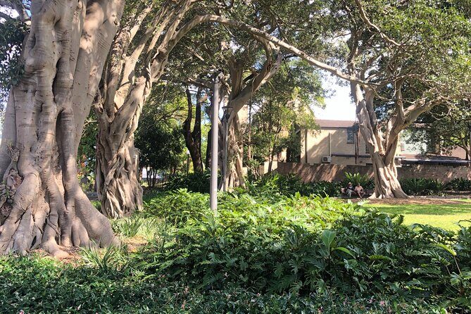 Historic Walking Tour of Glebe - 2 Woolley St – St James Catholic Church