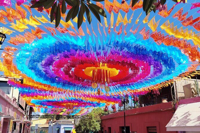 Historical and Cultural Walking Tour of Oaxaca - Exploring Oaxaca through a Historic and Cultural Walking Tour