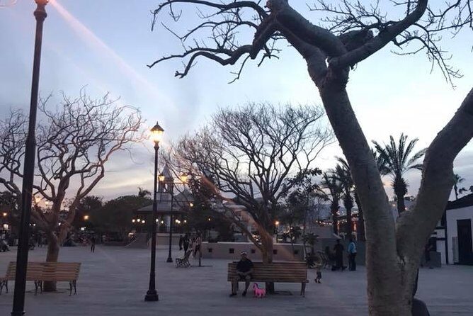 Historical and Cultural Walking Tour of San José del Cabo - The Sum Up