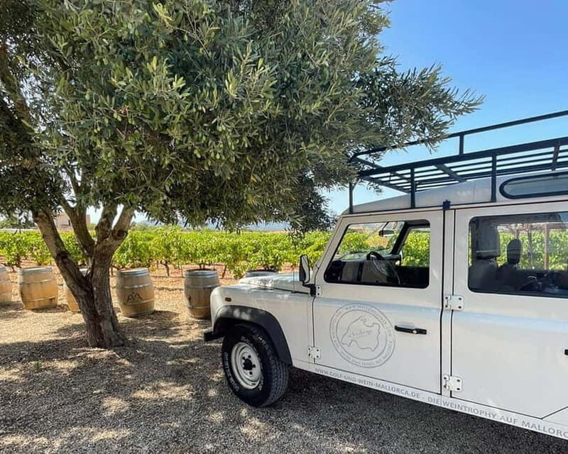 HISTORICAL BODEGA TOUR AND WINE TASTING - Uncover the Charm of Mallorca’s Wineries: A Deep Dive into the Historical Bodega Tour and Tasting Experience