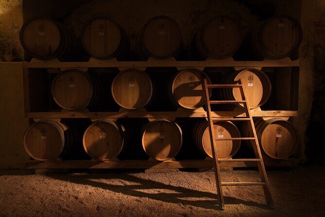 Historical Cellar Visit and Wine Tasting in Salento - Introduction