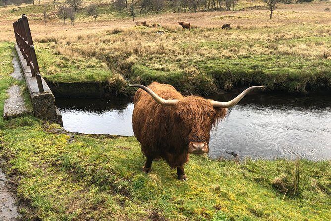 Historical Tour and Seafood Experience - The Seafood Tasting: A Delicious Finish  