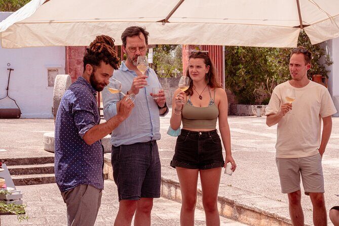 Historical Tour of Rural Park with 3 Apulian Wines Tasting - A Deep Dive into the Experience