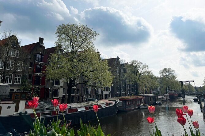 Historical Walking Tour, private with local Dutch guide - Who Should Book This Tour?