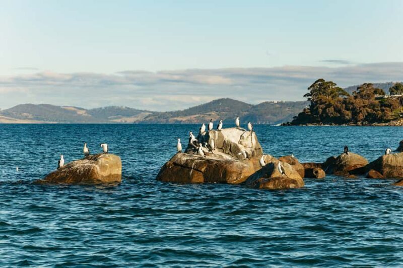 Hobart: 2.5-hour Iron Pot Lighthouse Cruise - The Sum Up: Is It Worth It?