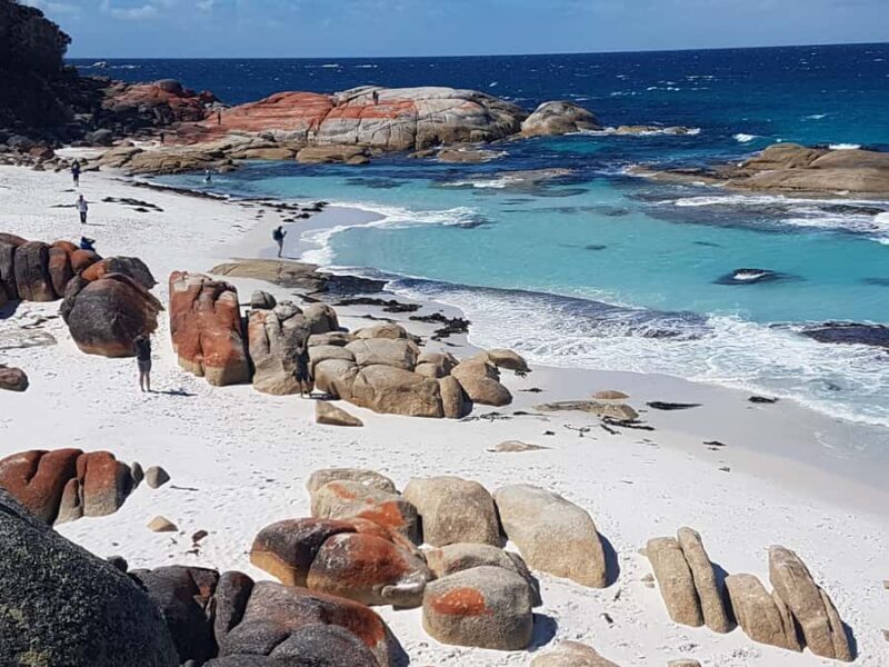 Hobart: 4 Day Wild Tasmania Tour - Key Points