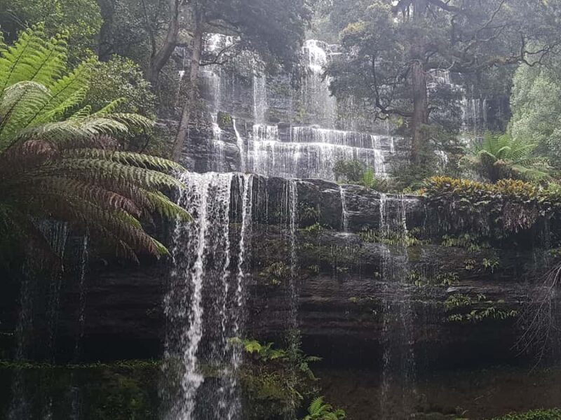 Hobart: 4 Day Wild Tasmania Tour - Transportation, Group Size & Value