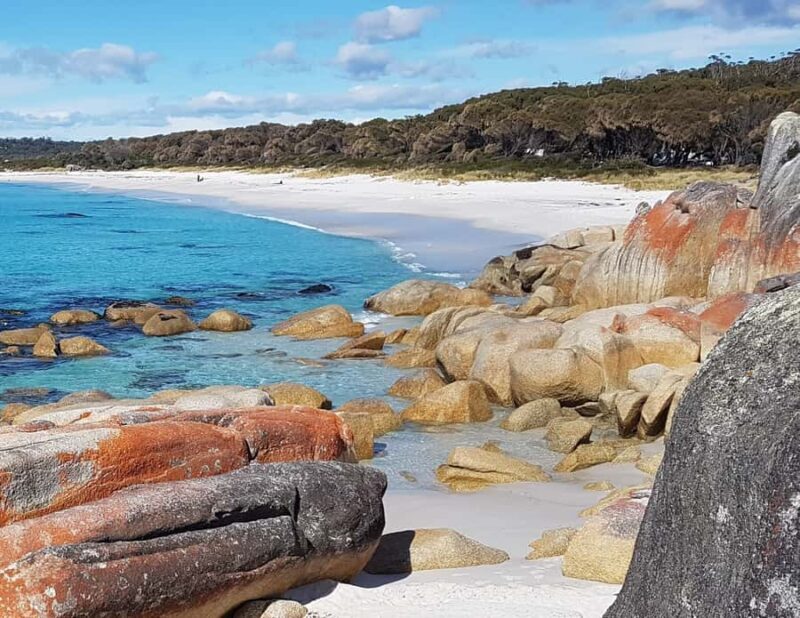 Hobart: 4 Day Wild Tasmania Tour - What To Bring & Practical Tips