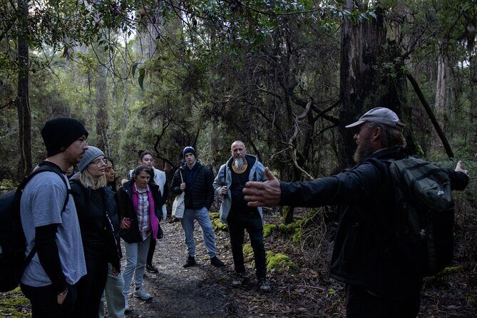 Hobart: 7hr Shore Excursion: Mt. Field, Russell Falls & Wildlife - FAQ