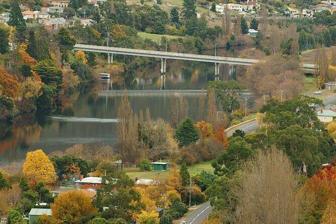 Hobart Adventurer Day Tour | Amazing Views & Native Wildlife - In Summary