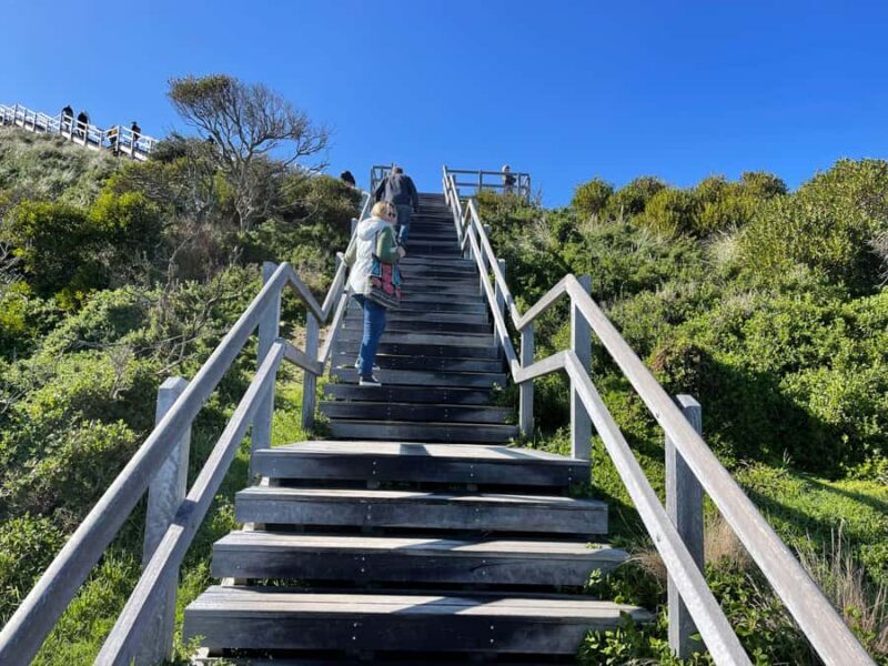 Hobart: Bruny Island Adventure: Hike, Highlights & Tastes - A Detailed Look at the Tour Experience