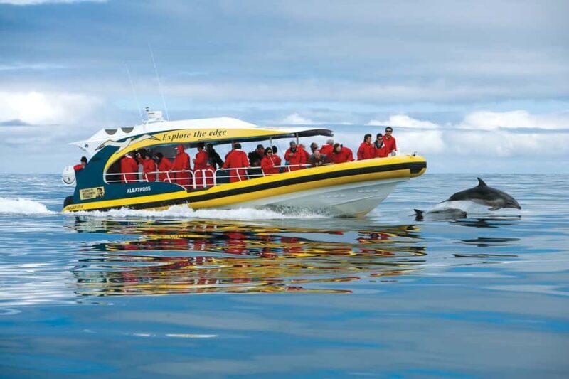 Hobart: Bruny Island Wilderness Coast Eco Cruise with Lunch - Authentic Guest Insights