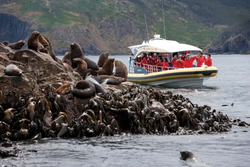 Hobart: Bruny Island Wilderness Coast Eco Cruise with Lunch - FAQs