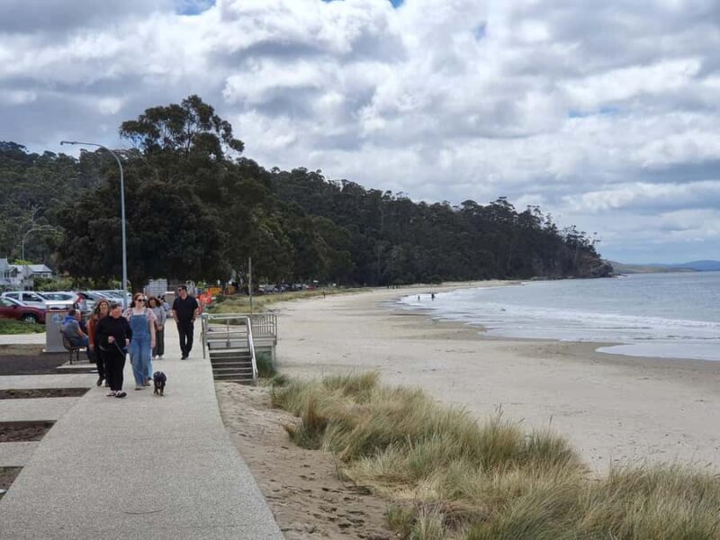 Hobart, Bush and Beach Escape - 2 Hour Small Group Tour - Transportation and Group Size