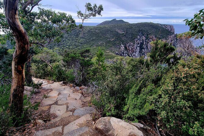 Hobart: Cape Hauy Adventure Hike - rugged cliffs & wild beauty - FAQs