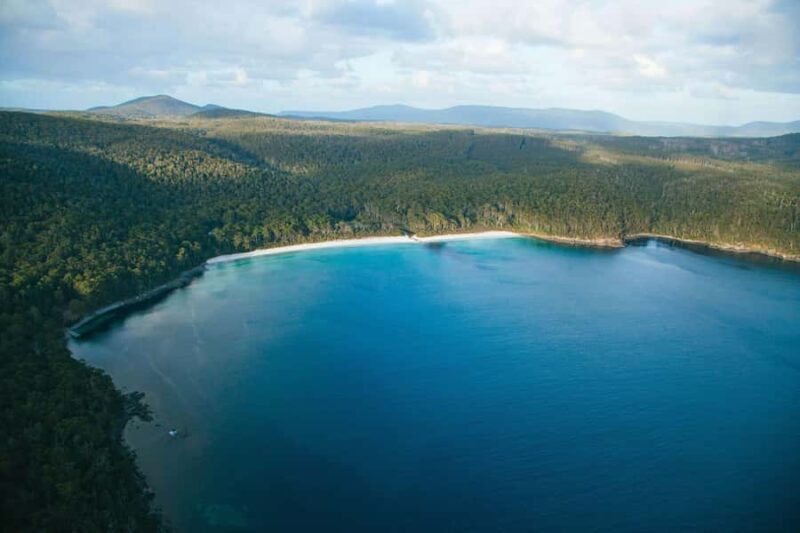 Hobart: Cape Hauy Hike - The Experience: A Closer Look