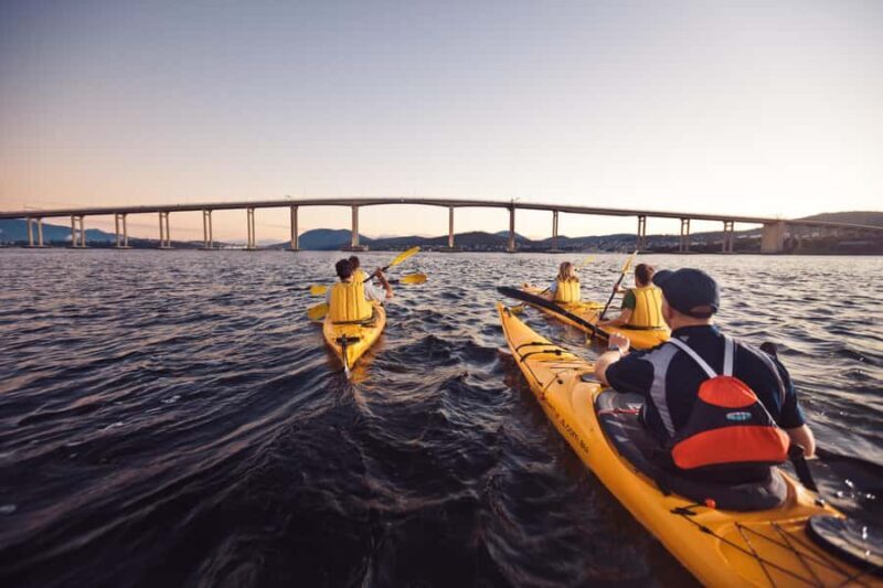 Hobart City 2.5-Hour Kayak Tour - A Detailed Look at the Hobart Kayak Tour