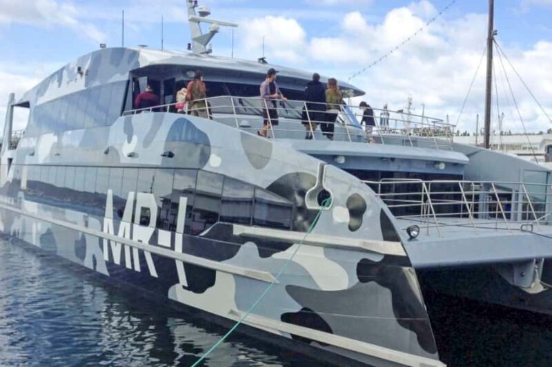 Hobart City Sightseeing Tour including MONA Ticket - Key Points