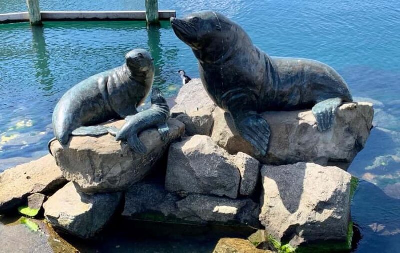 Hobart Discovery Experience - Key Points