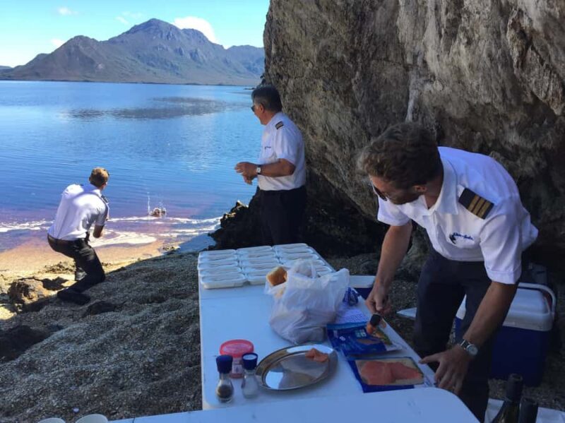 Hobart: Fly & Cruise in Southwest Wilderness Area with Lunch - Key Points