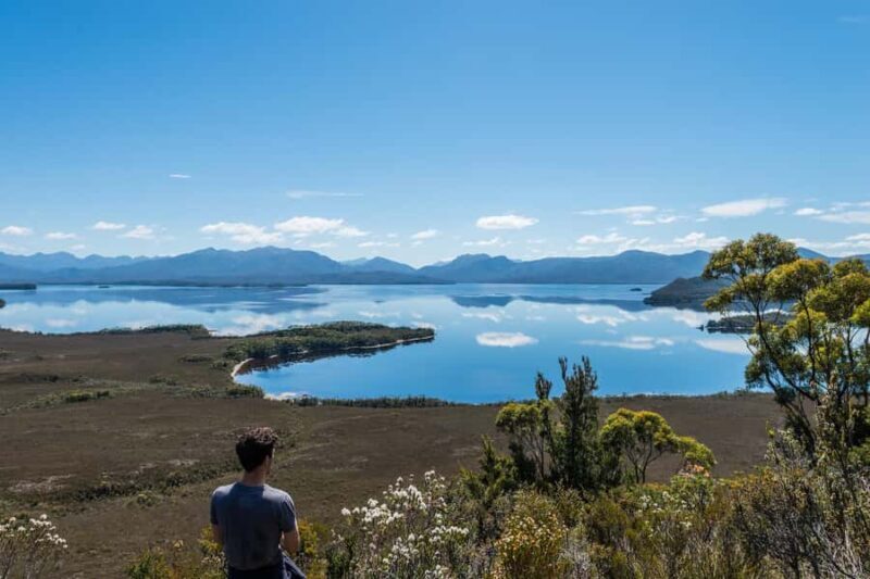 Hobart: Fly & Cruise in Southwest Wilderness Area with Lunch - Who Will Love This Tour?