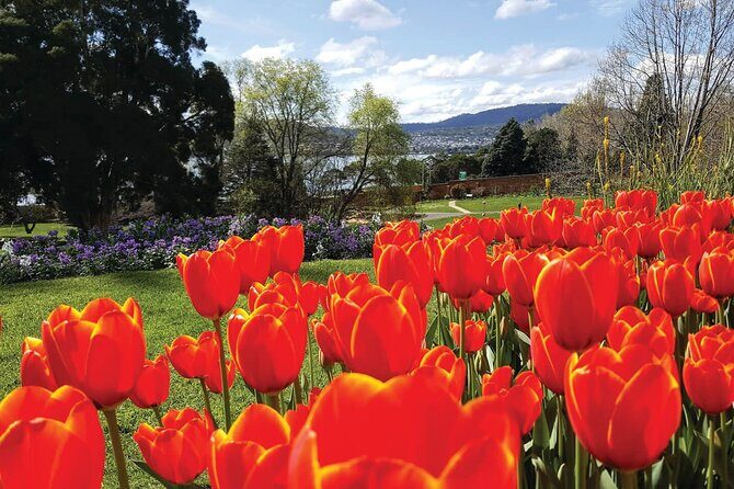 Hobart Half-Day Sightseeing City Tour - The Itinerary in Detail