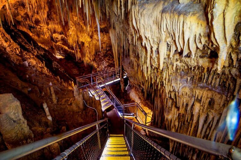 Hobart: Hastings Cave, Tahune Airwalk and Huon Tasting Trail - Key Points